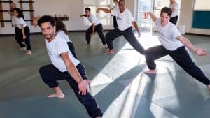Tai_Chi_dojo_snake_creeps_down_group - School of Martial Arts